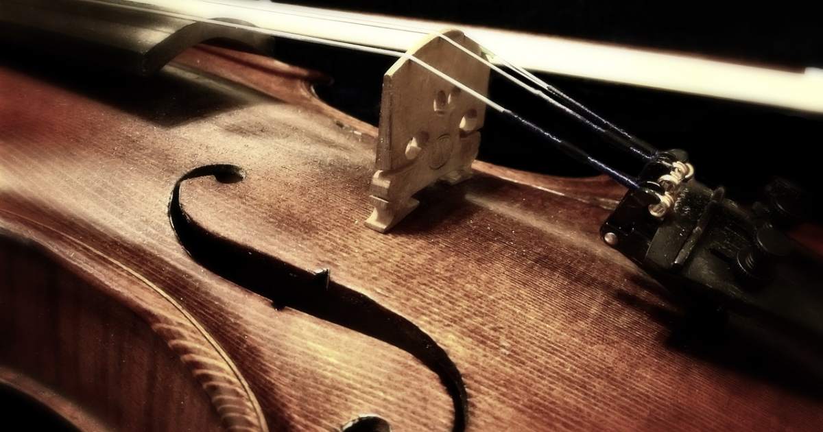 Summer Fiddle Weekend – Beginners and Improvers | Courses | Halsway ...